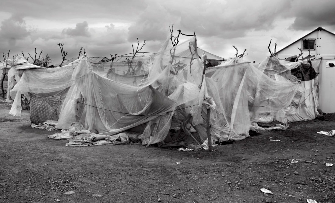 Forced Migration, Displacement, and the Liberal Arts – EuropeNow
